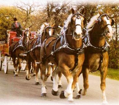 Pulling the King’s Carriage – Alaska Bible Teacher