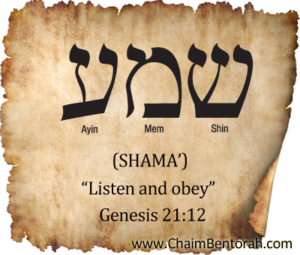 Shama, Listening | Alaska Bible Teacher