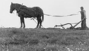 Your Plow is Waiting – Alaska Bible Teacher